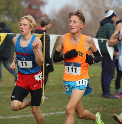 Boys cross-country: Foote places sixth to pace Ponies at state | Free ...