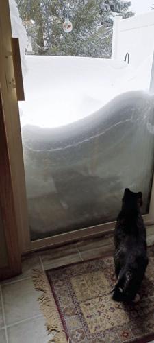 More than a foot of snow hits Chisago, Isanti counties | County News ...
