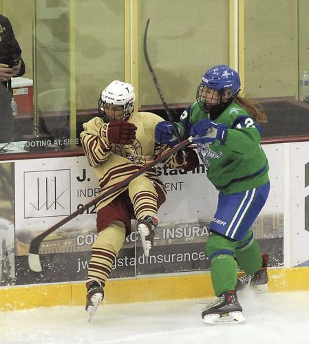 Tigers, Irish earn top seeds in girls hockey playoffs | Sports ...