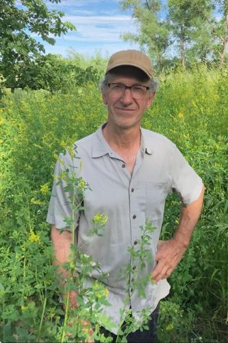 Beekeeper demonstrates passion for pollinators | Community ...