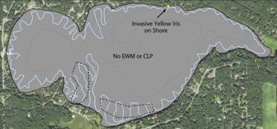 LIDS give reports on invasive species in Morrison County lakes | News ...