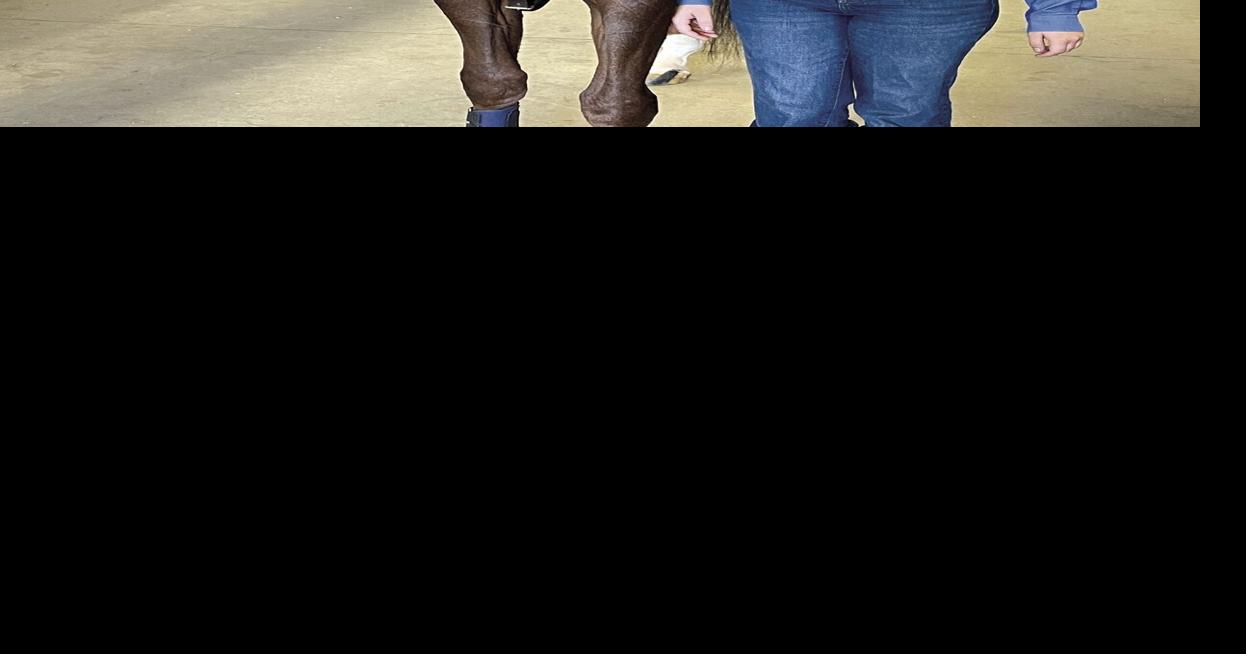 Longshot horse, 5 state titles for area duo | Andover | hometownsource.com