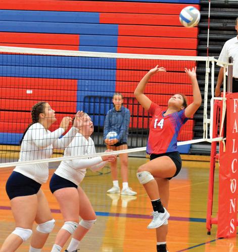 Armstrong volleyball finds success | Sports | hometownsource.com
