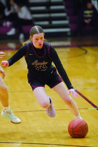 Basketball: Defense propels Anoka to Section 7AAAA finals, boys hoops ...