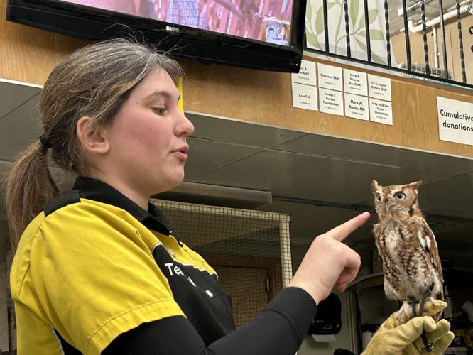 Festival of Owls returns to Houston this March | Local News ...