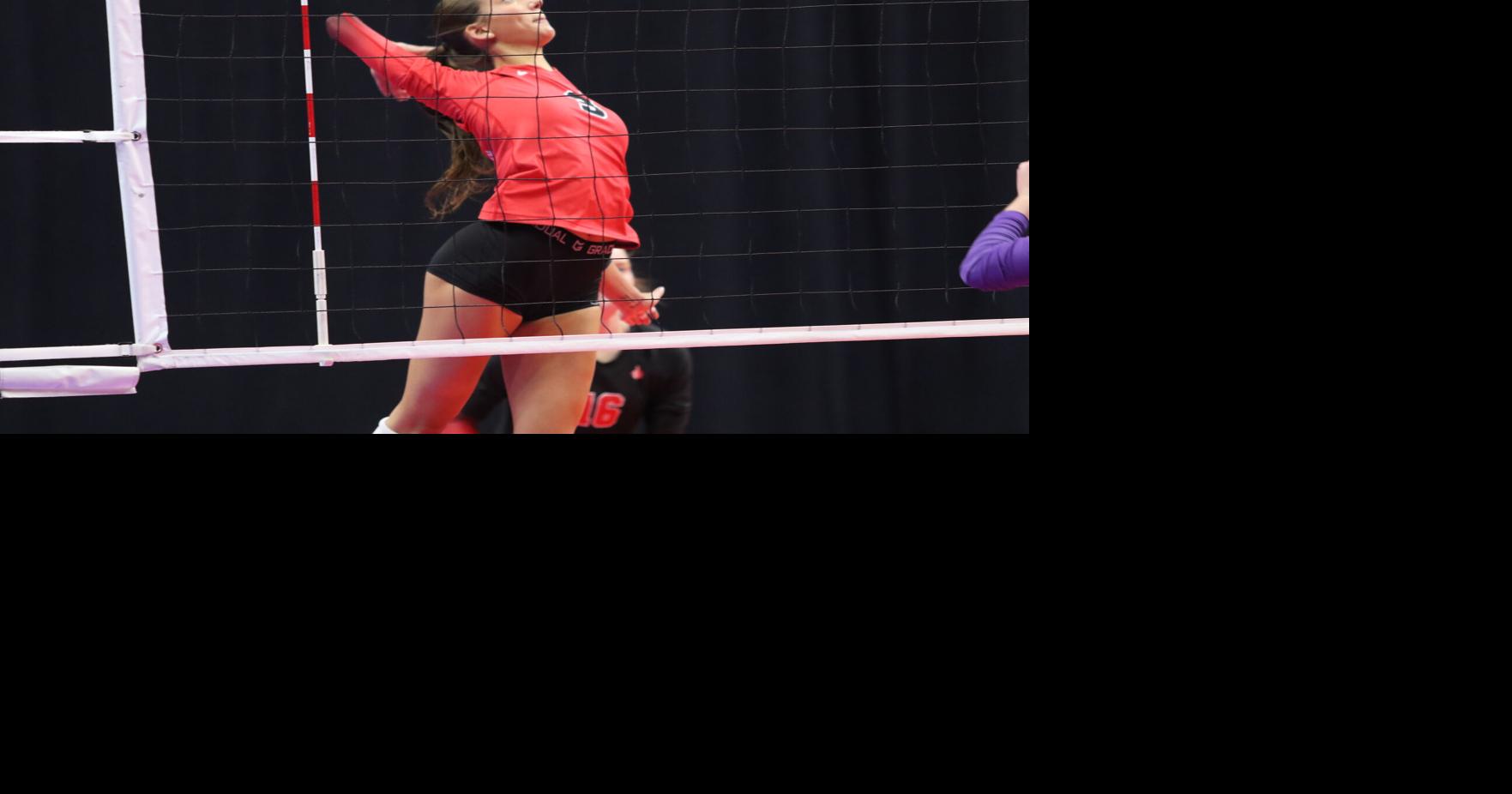 State Champions: Crusaders sweep Minneota to win volleyball title ...