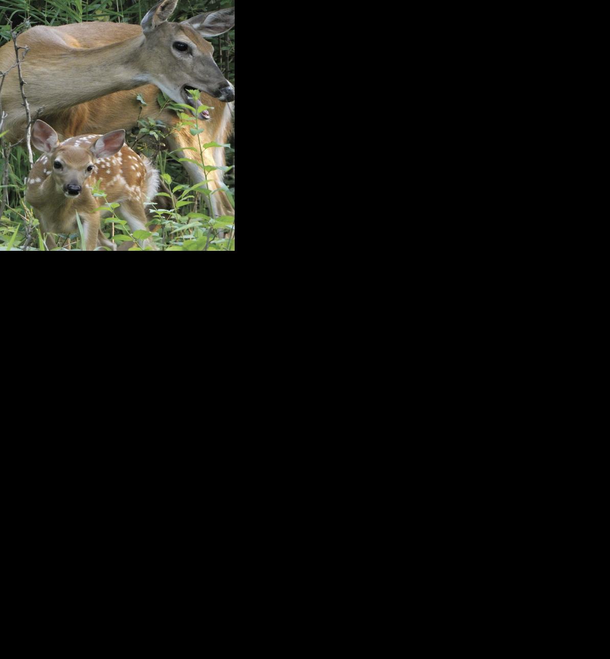 Spring look persists in summer (photo) | Free | hometownsource.com