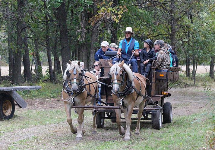Forestry Field Day focuses on forest health | News | hometownsource.com