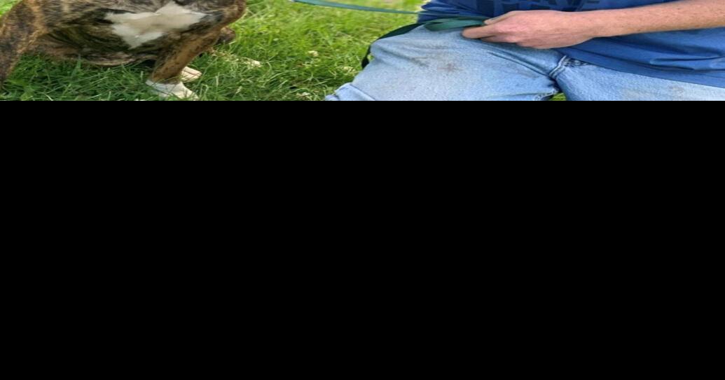 Justis Allen Bjergo | Obituaries | hometownsource.com