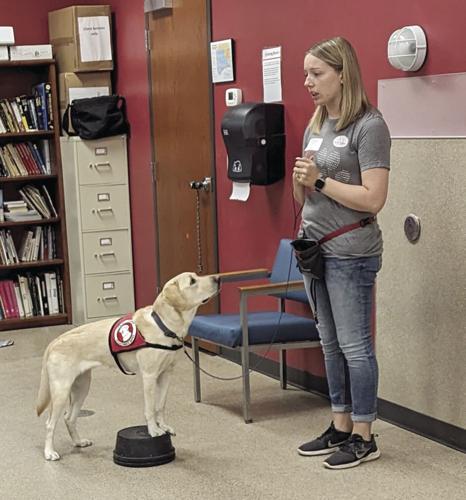 Can Do Canines to host open house March 9 in New Hope | Free ...