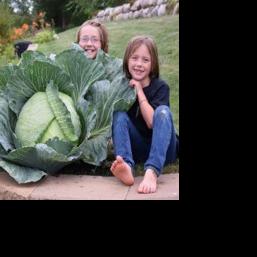 Colossal cabbage nets Cedar Park student $1,000 savings bond ...