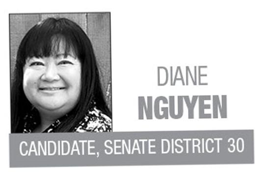 Diane Nguyen announces bid for District 30 seat in Minnesota | Big Lake ...