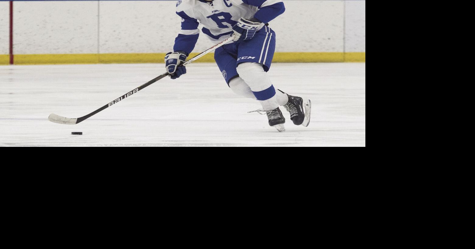 Rogers boys hockey defeats Totino Grace | Sports | hometownsource.com