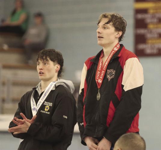 Boys swimming and diving: Koglers is state runner-up in backstroke | Free | hometownsource.com