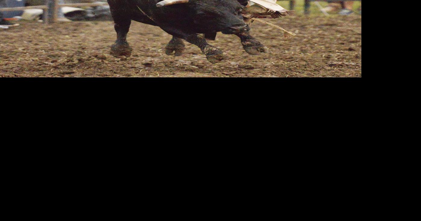 Mini-bull riding | | hometownsource.com