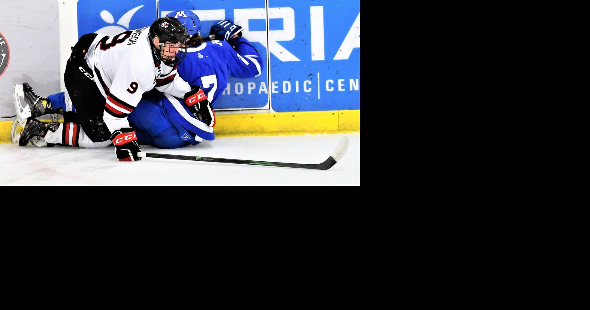 Eden Prairie boys hockey rebuilds with young talent | Sports ...