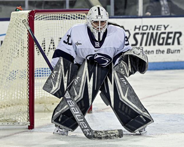 Bothun making the adjustment | Forest Lake Times | hometownsource.com