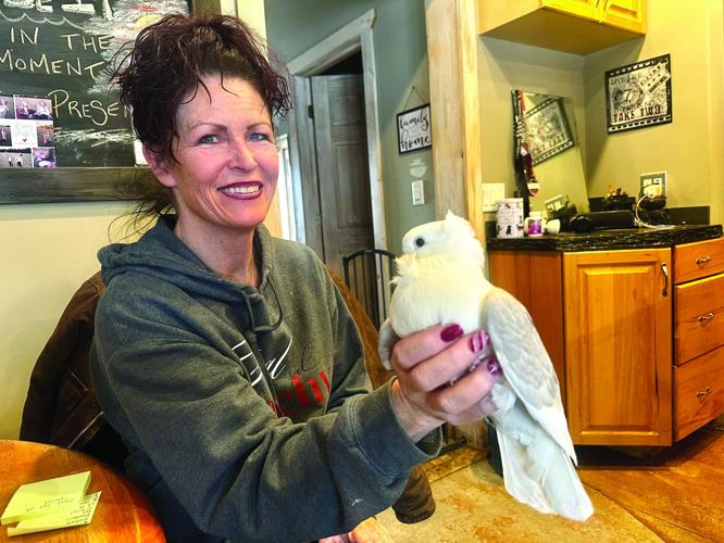 Poultry Gardens:Where rare feathers find a home | Local News ...