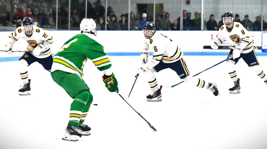 Hornets surge in 4-1 hockey victory over Wayzata | Sports ...