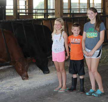 Current generation continues 4-H tradition in Scheel family | Local ...