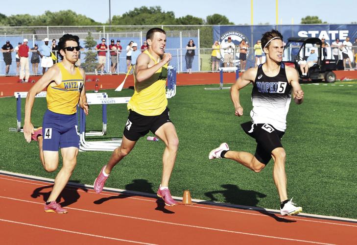 Lake boys track teams shine at state | Sports | hometownsource.com
