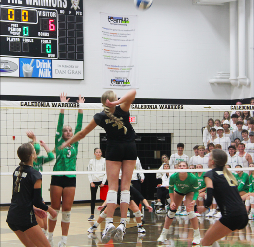 Warriors volleyball wins 3 out of 4 at weekend tournament, beat La ...