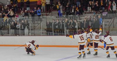 Rangers boys hockey beats Roseville 5-3 | Sports | hometownsource.com