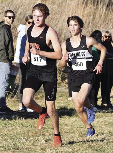 Park’s Lindeman runs to state CC spot | Sports | hometownsource.com
