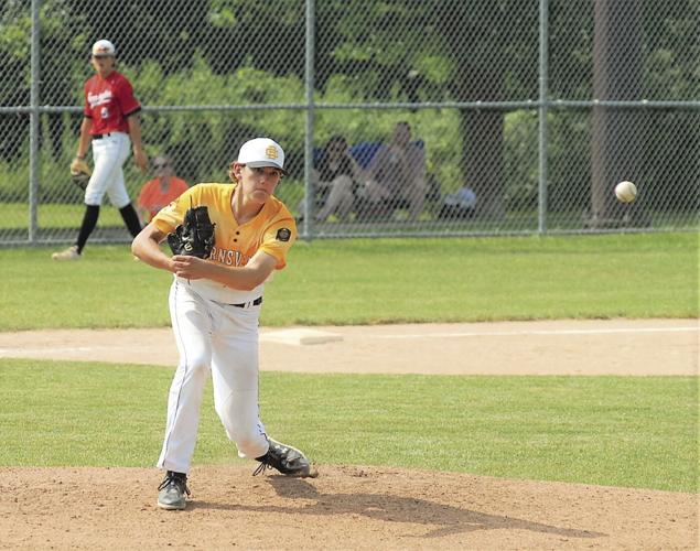 Baseball: Farmington, Burnsville reach state Legion tourney | Sports ...