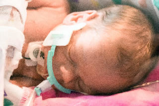 Dorthea J. Jones | Obituaries | hometownsource.com