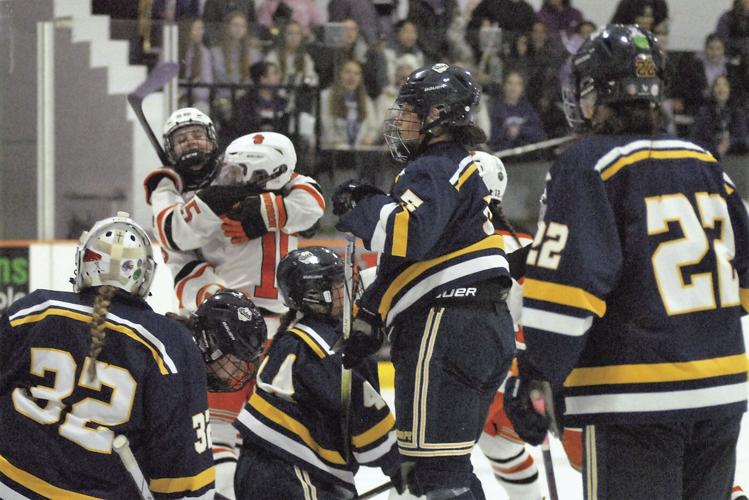 Girls hockey: Tigers take SSC lead by locking down | Sports ...