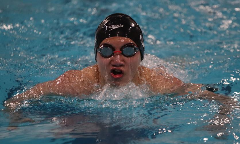Boys swimming and diving: Ponies place third at section meet | Free ...