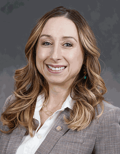 Democrat Berg joins congressional race | Burnsville | hometownsource.com