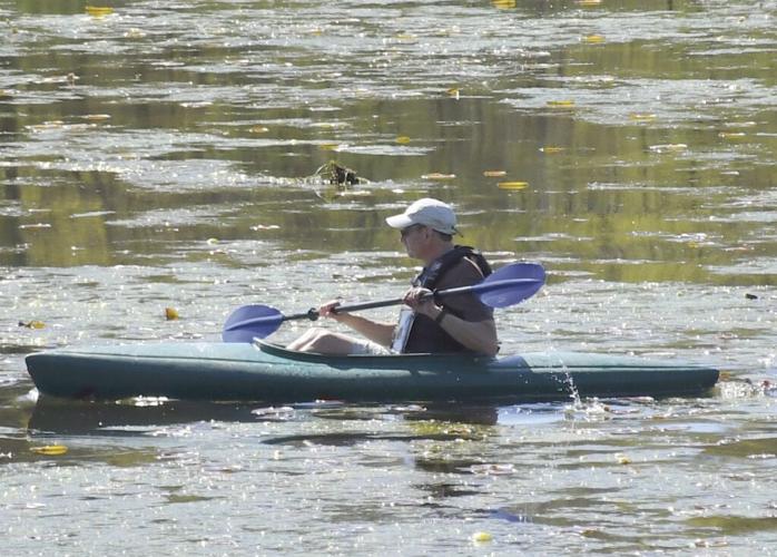 Lake life: A lighter shade of pale | Local News | hometownsource.com