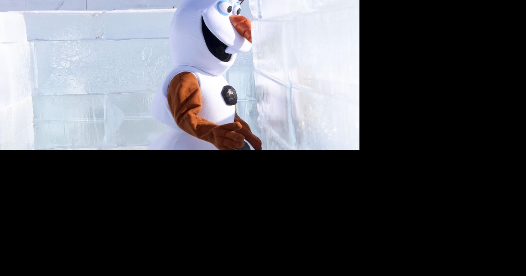 Ice Palace Maze features warm bar inside, ice bar outside | Arts ...