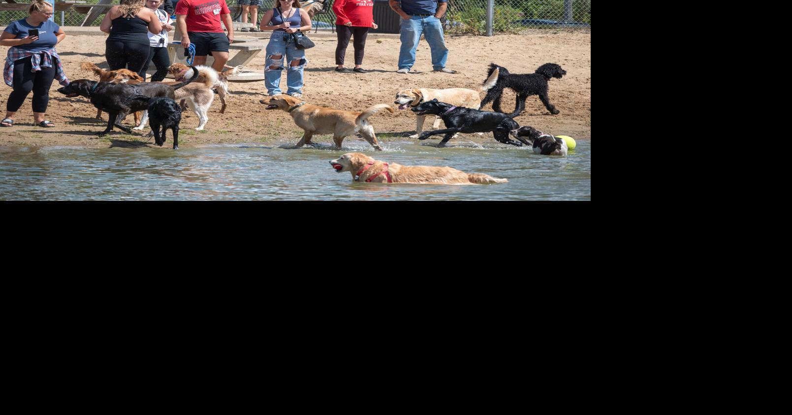Local doggos get their day in sun, and water | Caledonia ...