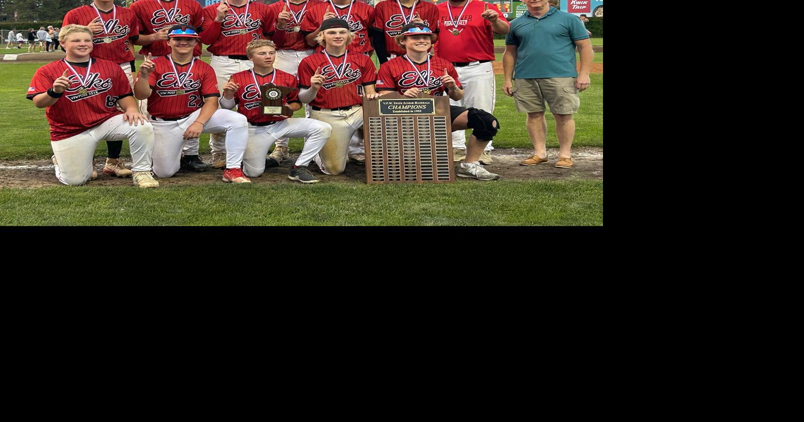 Elk River VFW baseball wins first state title | Elk River Star News ...