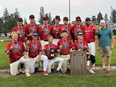 Elk River VFW baseball wins first state title | Elk River Star News ...