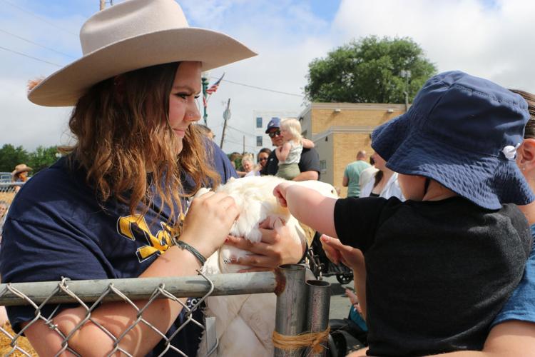 Youngsters delight in animals at Dew Days petting zoo | Farmington ...