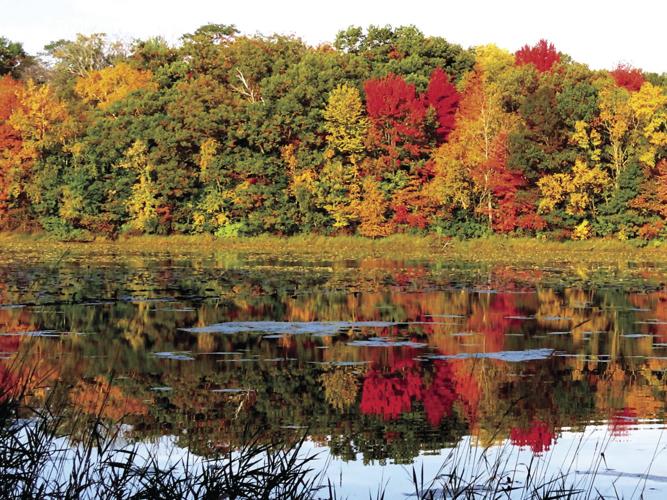 Lake Life: Patience | | hometownsource.com