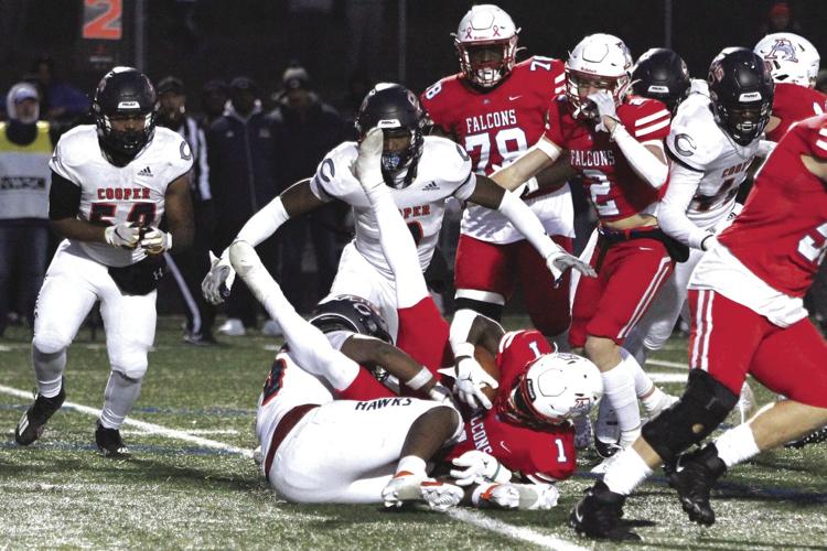 Armstrong Falcons win section title in battle of the Robbinsdales ...