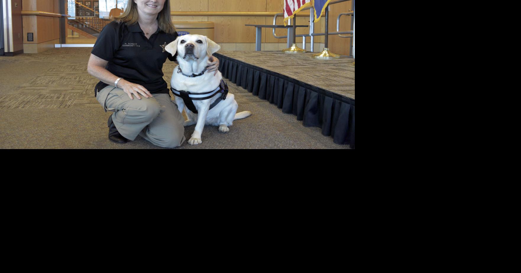 Volunteer support dog to assist Anoka County Sheriff’s Office | Anoka ...