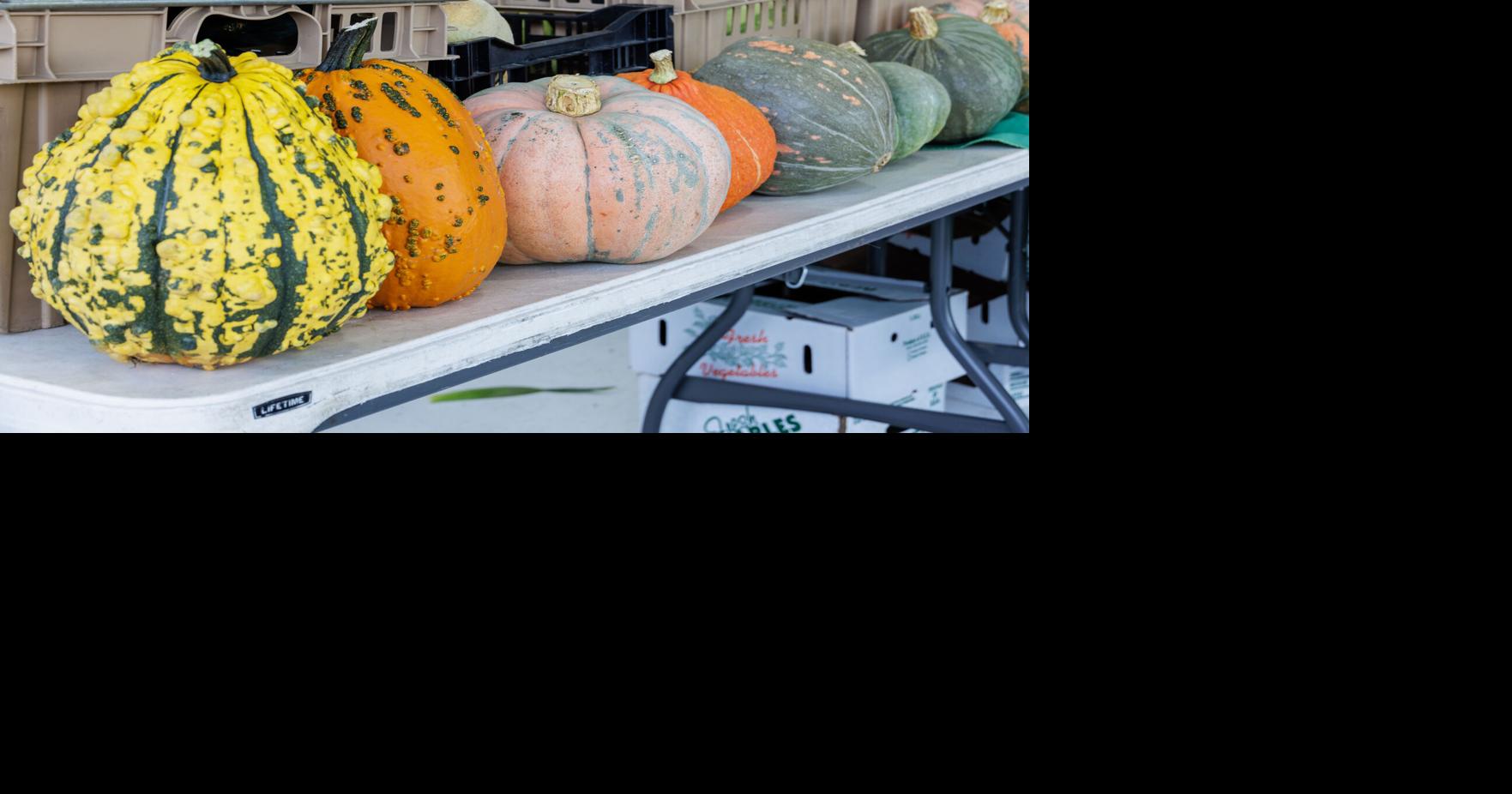 Fall Eagan Market Fest open at Goat Hill Park | Free | hometownsource.com