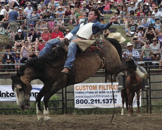Hamel Rodeo attracts crowd to Corcoran Lions Park | Free ...