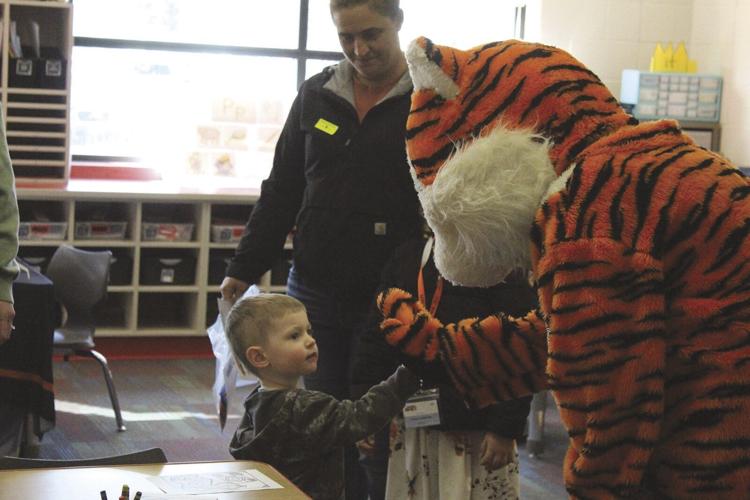 Princeton welcomes new tiger cubs with Kindergarten Safari | Free ...
