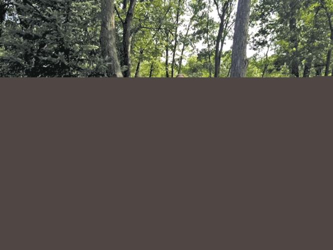 Park Babe Ruth State champs gather to mark 50 years | Sports ...