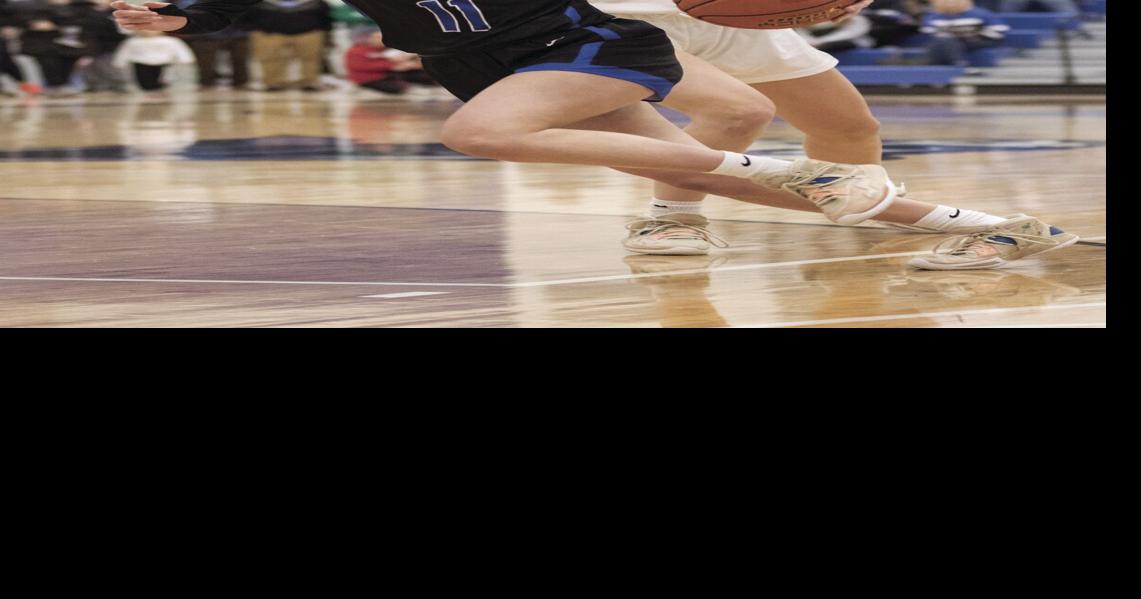 Rogers girls basketball takes on Elk River in section semifinals ...