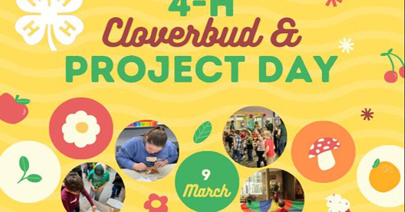 Wright County 4-H to host Project Workshop, Cloverbud Day | Monticello ...
