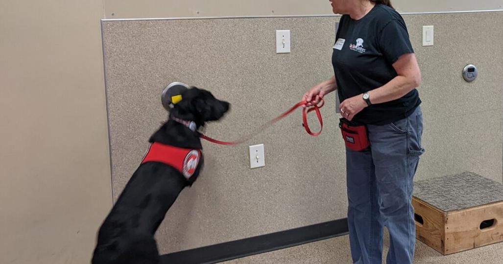 Can Do Canines sets Saturday, May 20 open house | Community ...