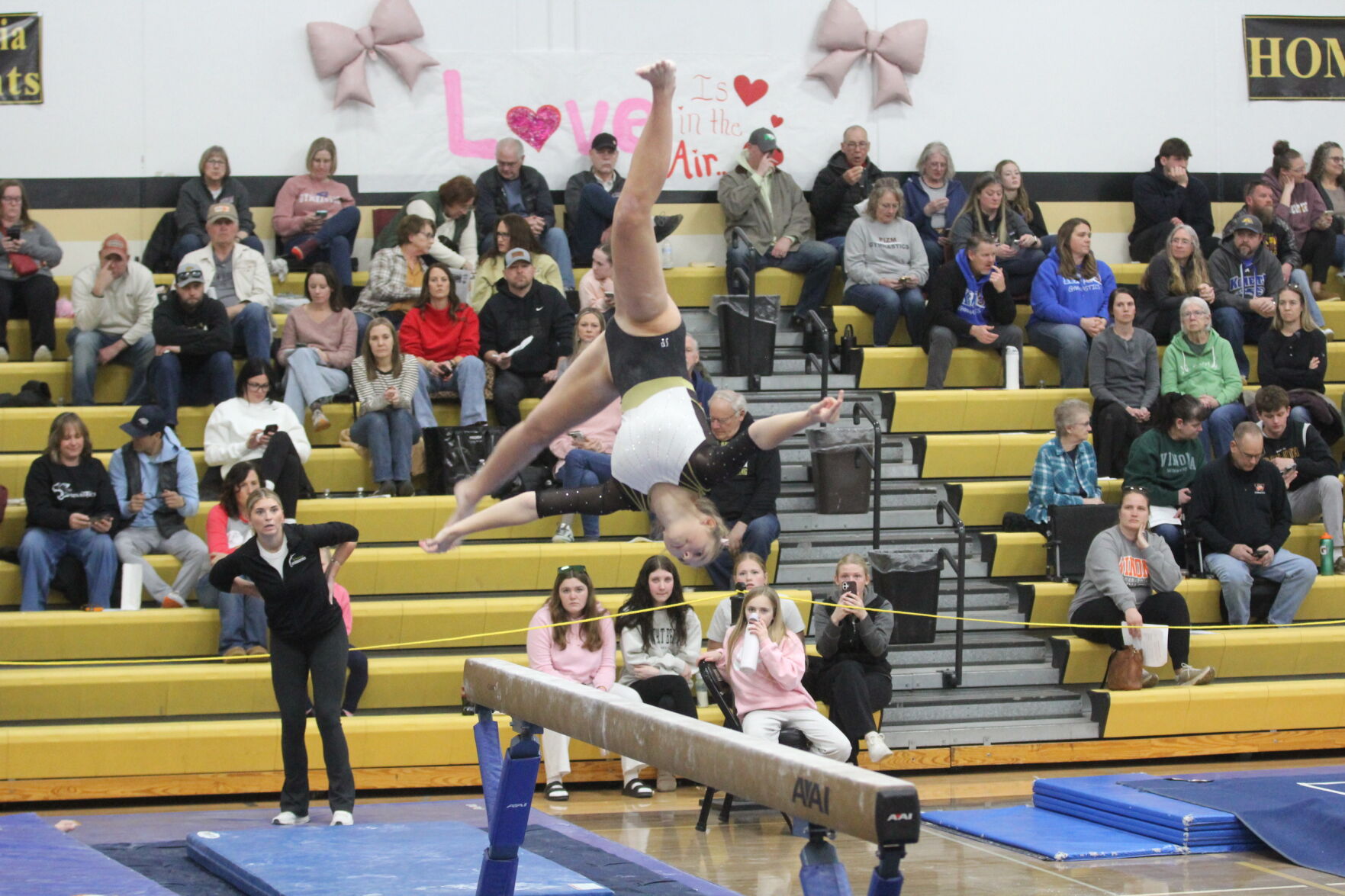 Warriors Place 4th at Sections, Vivian Kittleson Gains State Berth on ...